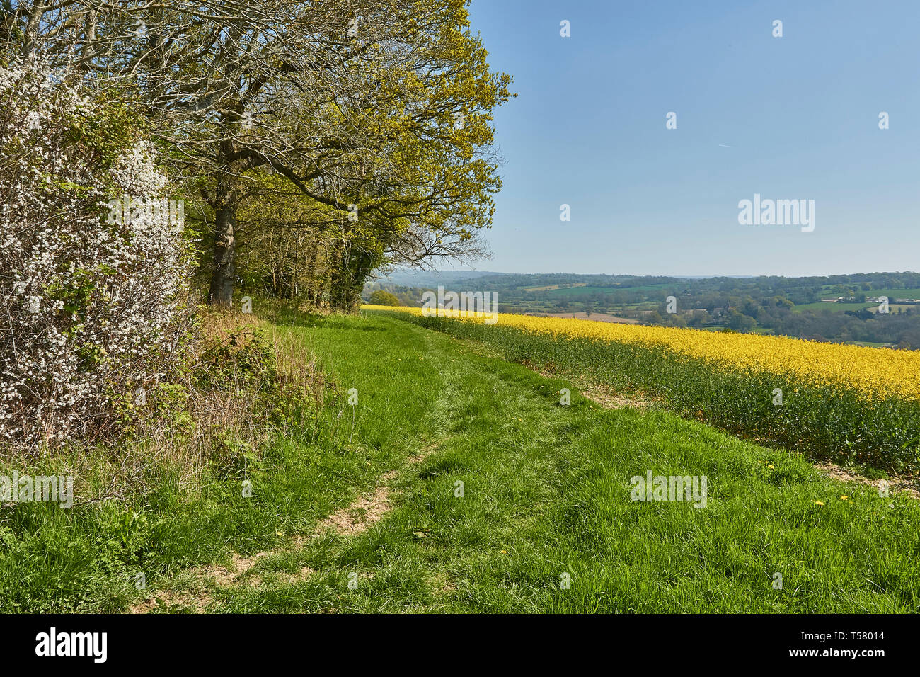 Footpath through kent spring landscape Stock Photo - Alamy