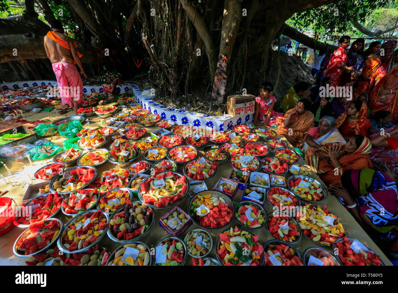 Devotees sit beside arrays of offerings placed under the ancient banyan ...