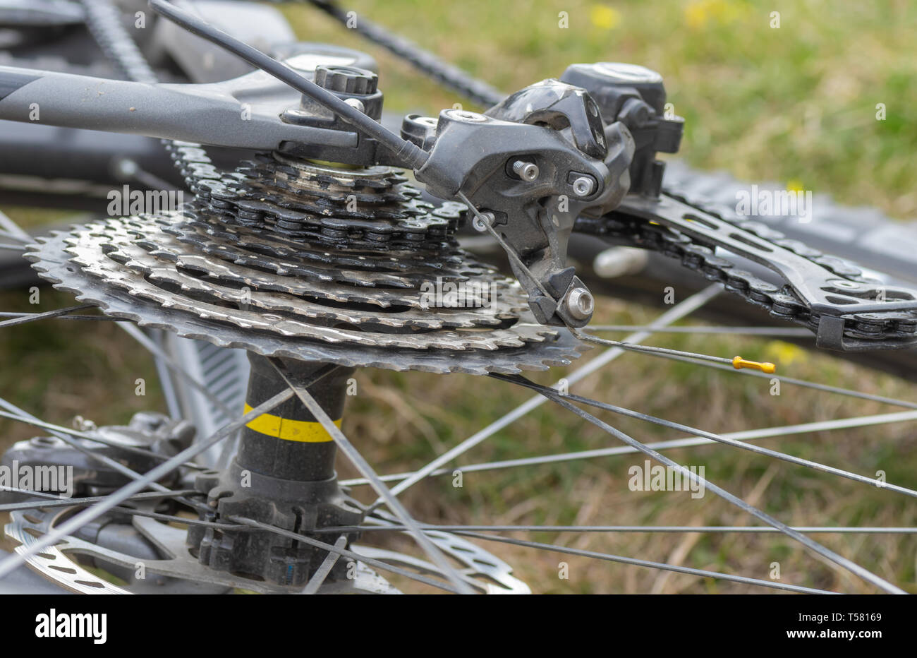 Rear carriage hi-res stock photography and images - Alamy