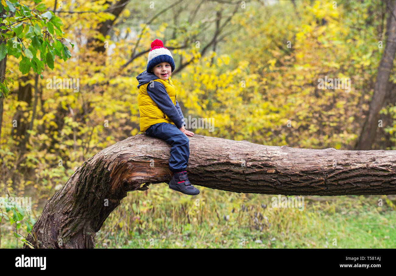 A little boy clambers, balances and sits on a fallen tree trunk ...