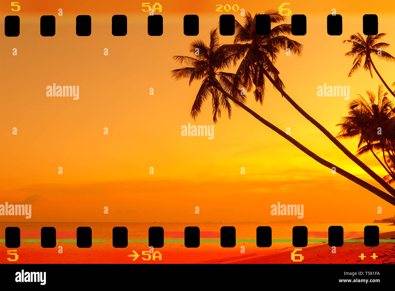 Coconut trees film scan hi-res stock photography and images - Alamy