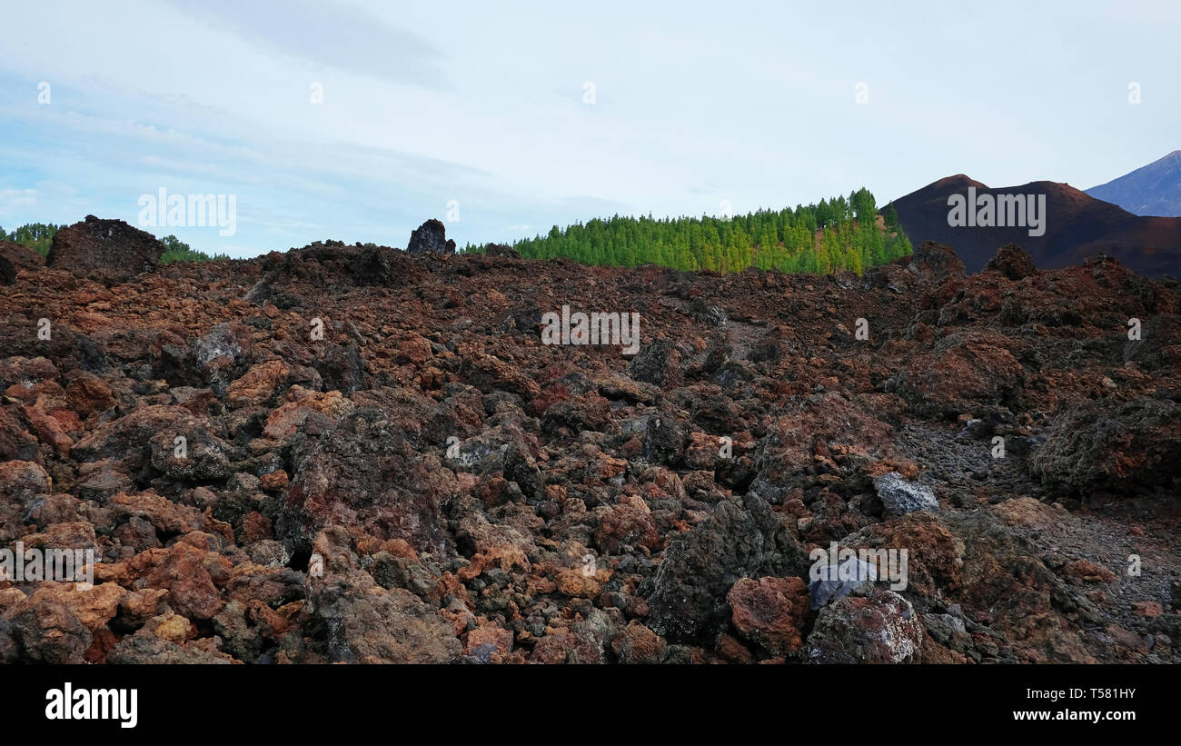 Volcanic path through the rough arid landscape of Chinyero Special ...
