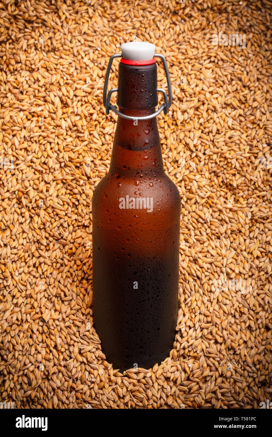 Stand of barley hi-res stock photography and images - Alamy