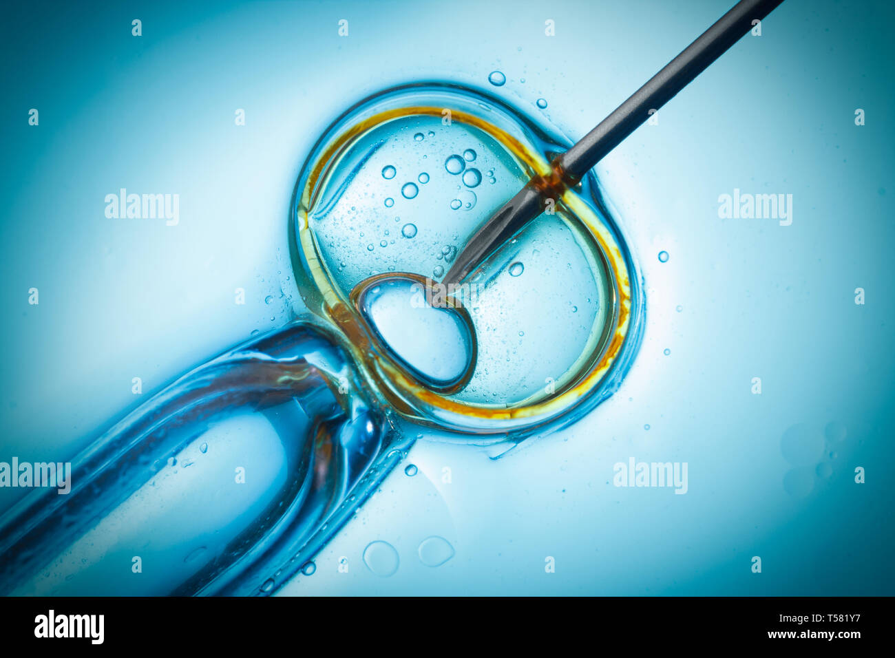 In vitro fertilisation, IVF macro concept Stock Photo - Alamy
