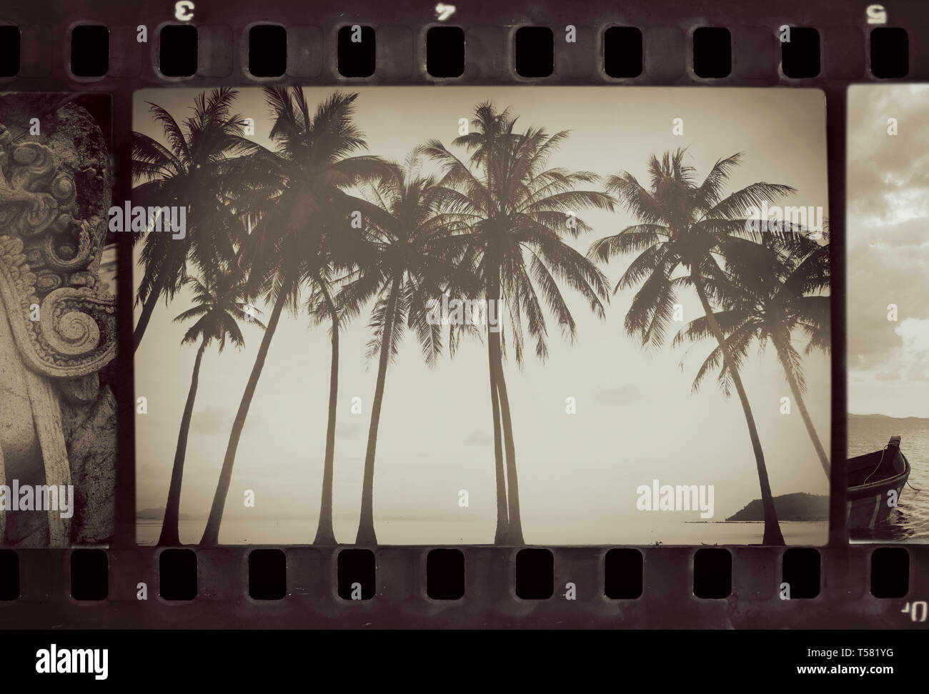 Coconut trees film scan hi-res stock photography and images - Alamy