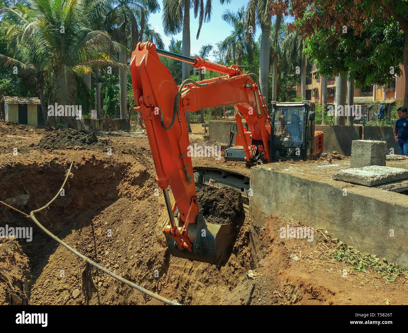 Caterpillar with gram hi-res stock photography and images - Alamy