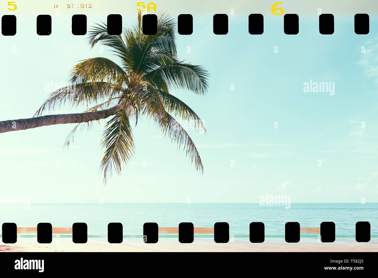 Vintage stylized tropical coconut palm tree on shore Stock Photo - Alamy