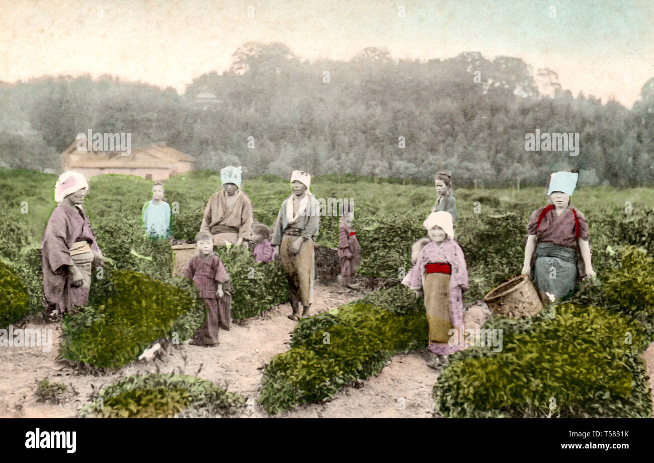 Uji symbol hi-res stock photography and images - Alamy