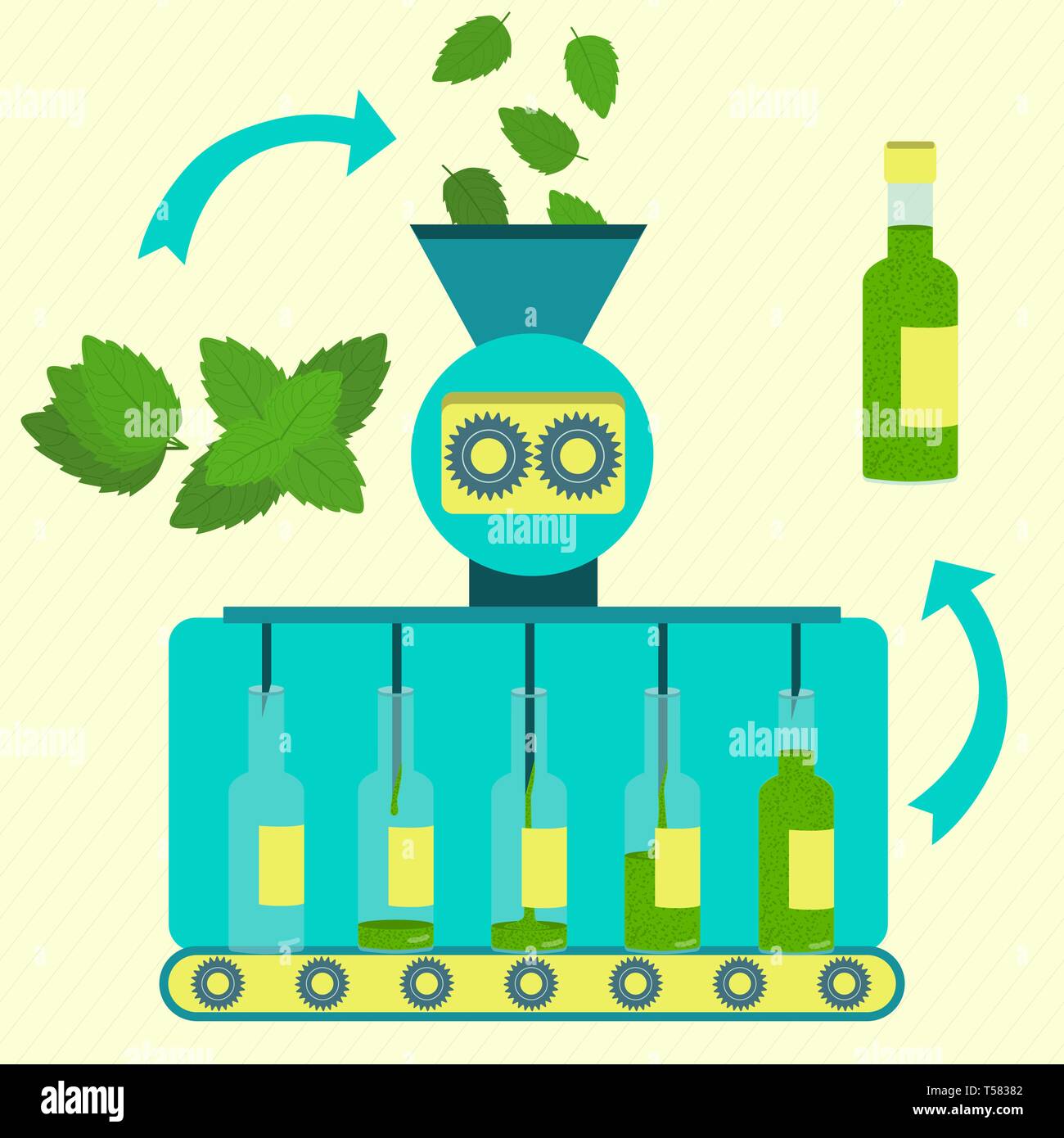 Peppermint production Stock Vector Images - Alamy