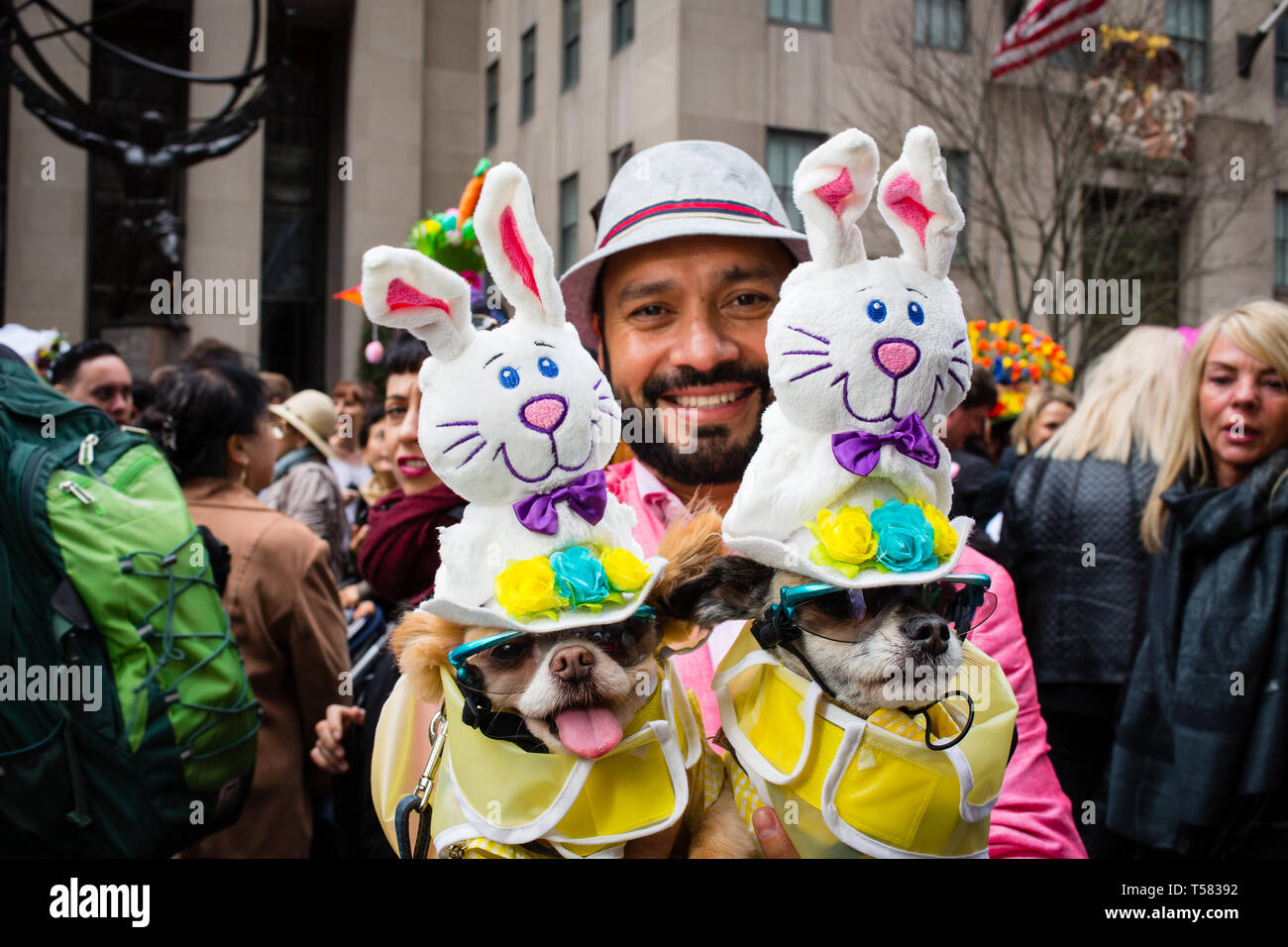 New York, NY - 21 April 2019. A man with two dogs dressed in rabbit ...