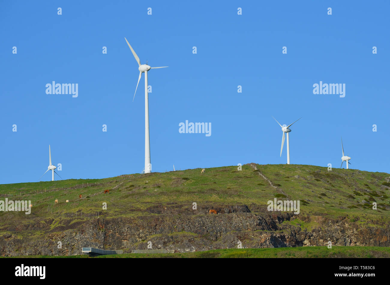 Wind turbines in Santa Maria island, Azores archipelago Stock Photo - Alamy
