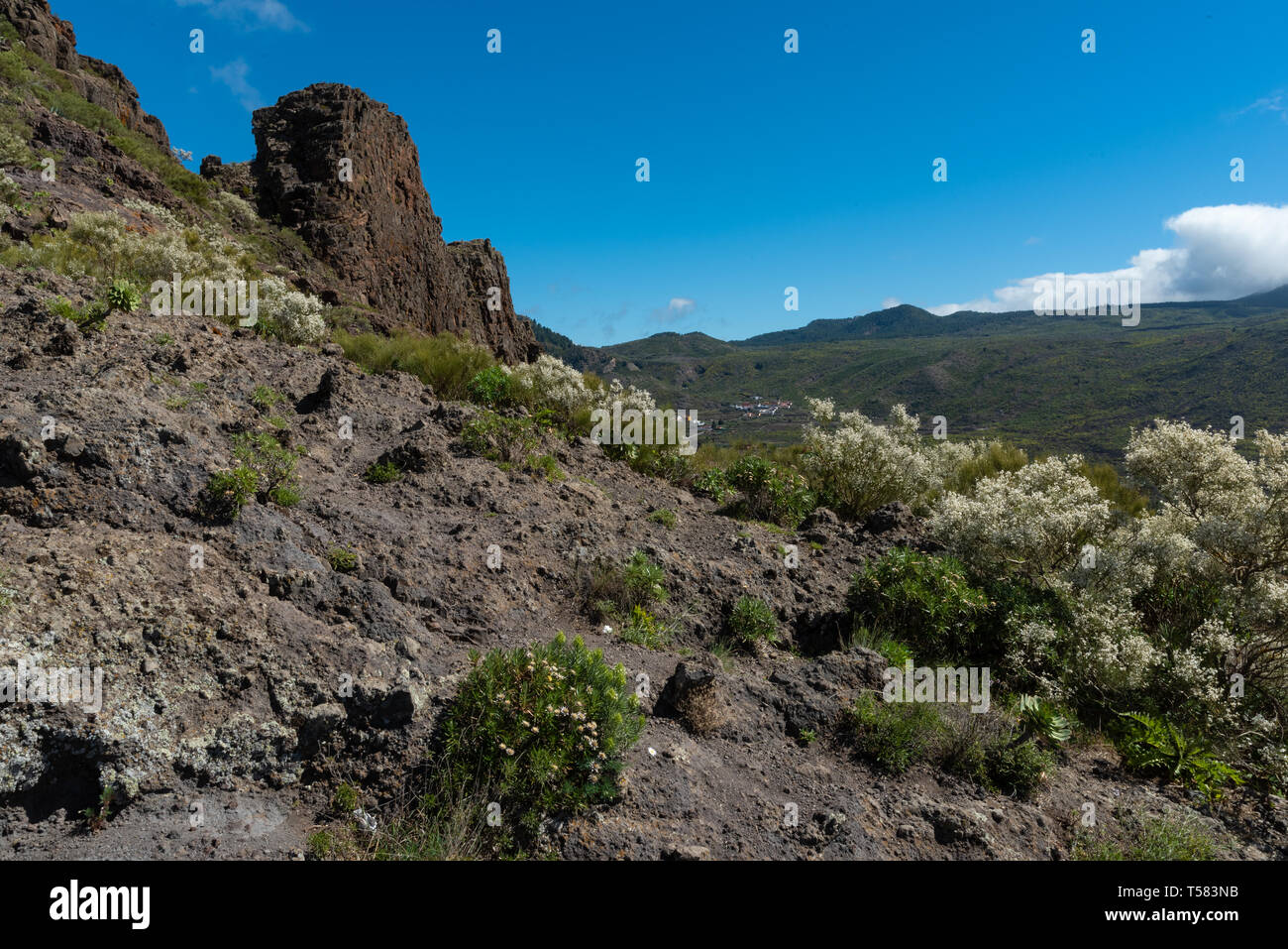 In Masca valley in Tenerife Stock Photo - Alamy