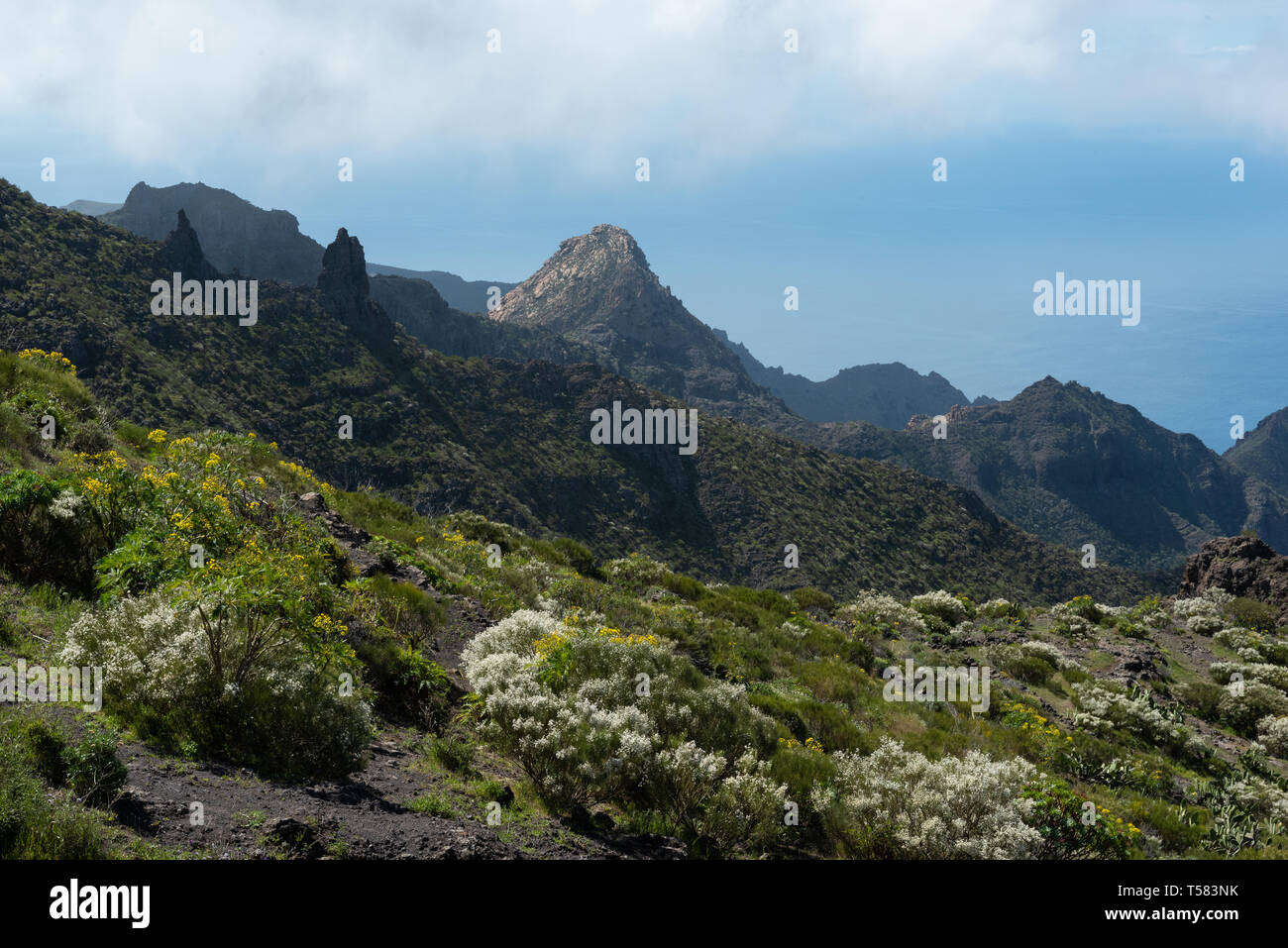 In Masca valley in Tenerife Stock Photo - Alamy