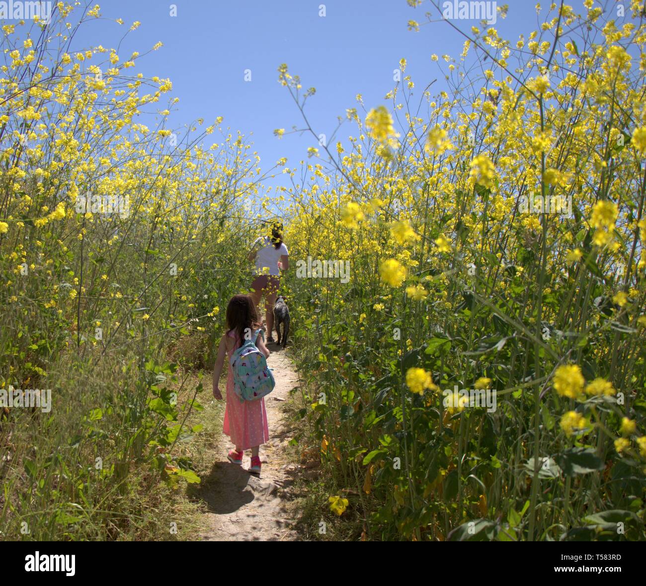 Hiking spring sun hi-res stock photography and images - Alamy