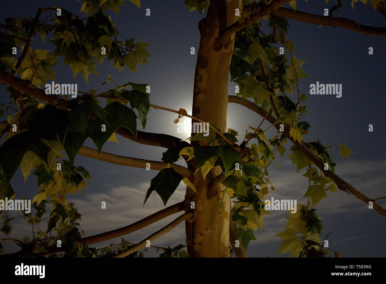 Dark of the moon hi-res stock photography and images - Alamy