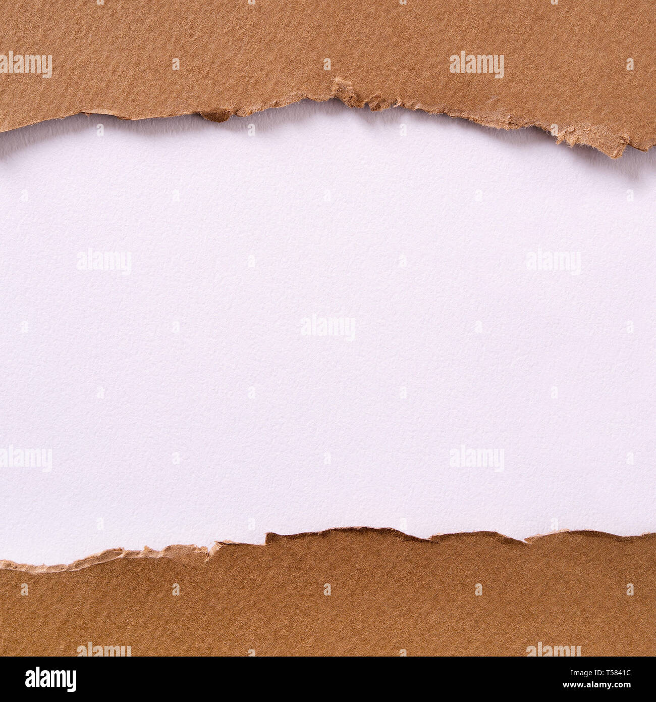 Torn brown paper center strip white background Stock Photo - Alamy