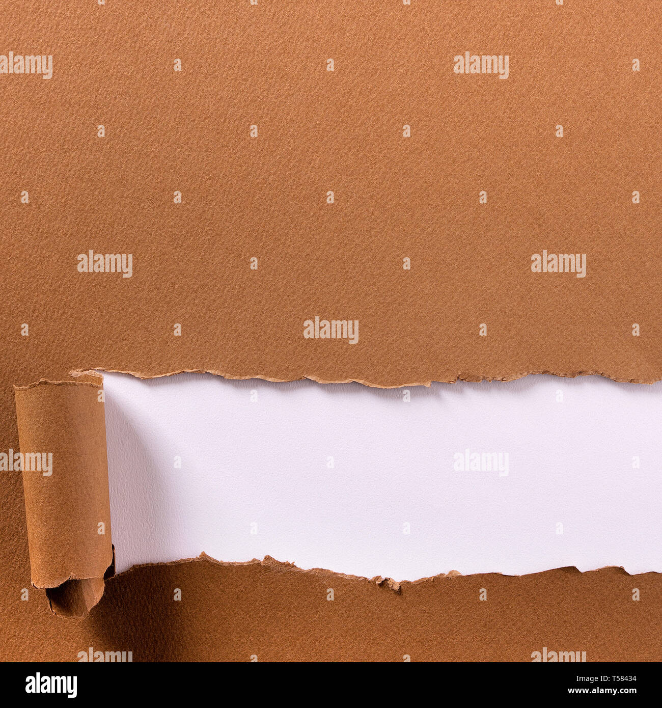 Torn brown paper long rolled bottom edge header frame white background ...