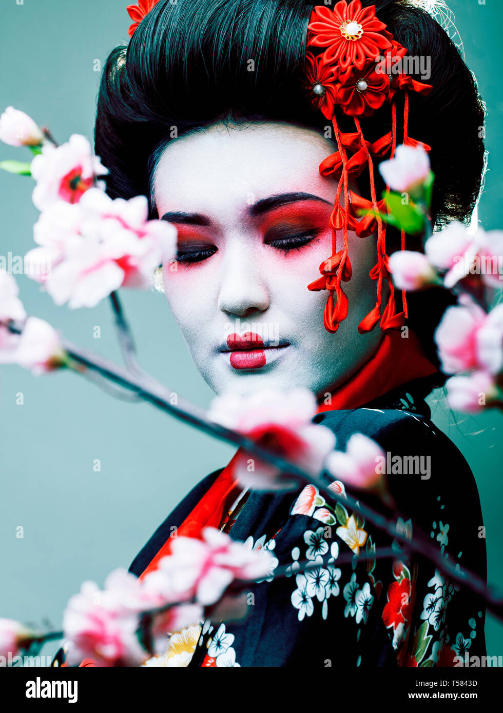 young pretty geisha in black kimono among sakura, asian ethno close up ...