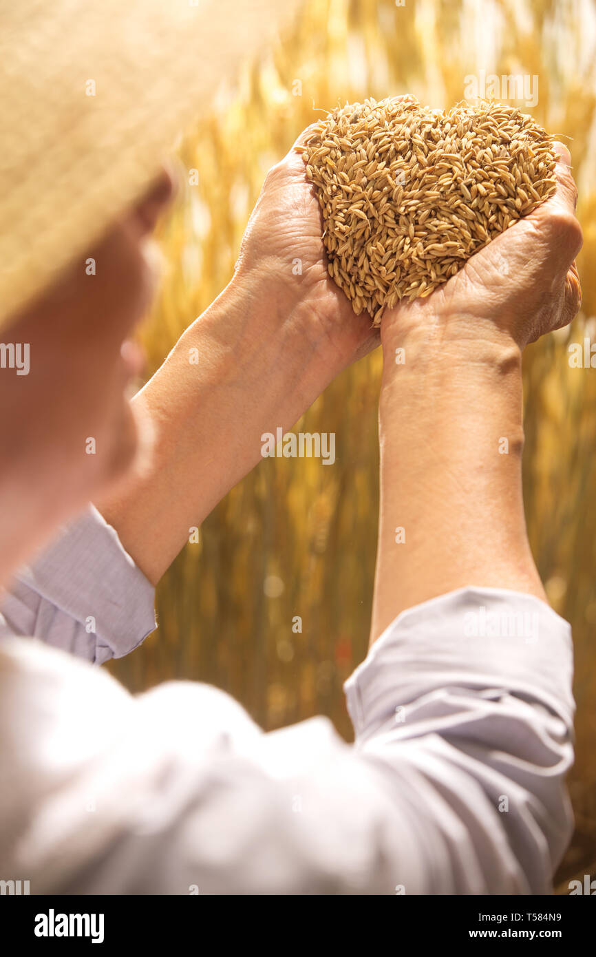 The old farmer with rice Stock Photo - Alamy