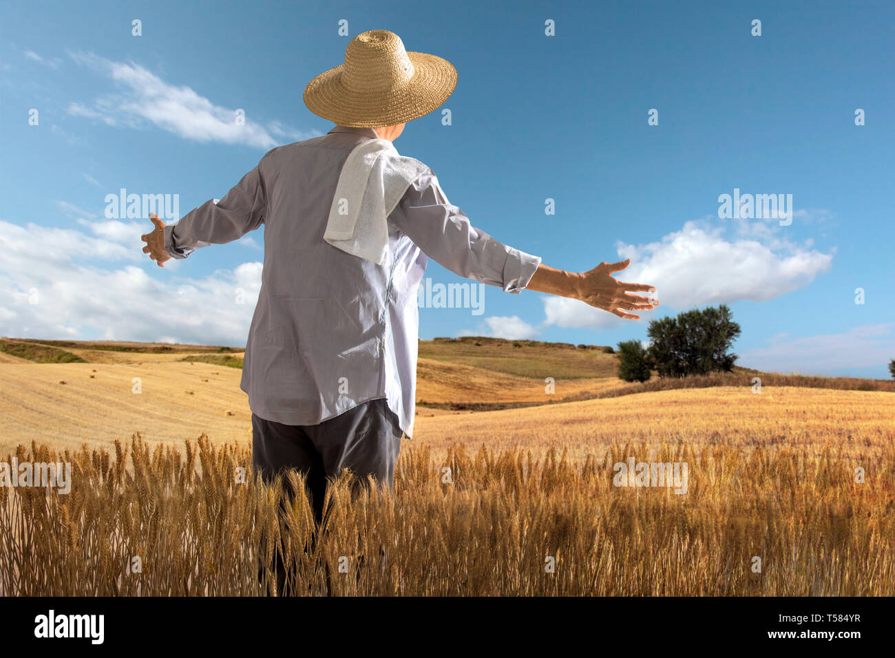 Farmers in view of wheat crop Stock Photo - Alamy