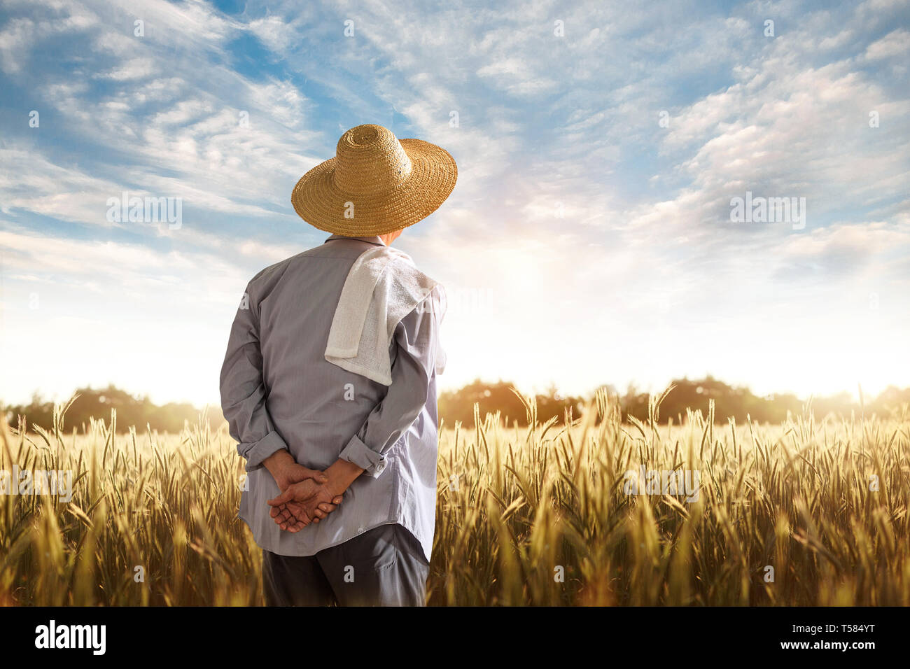 Farmers in view of wheat crop Stock Photo - Alamy