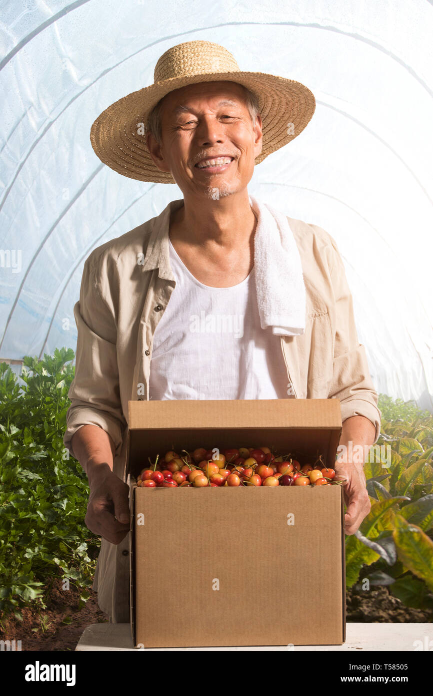 The old farmer to produce their own fruit Stock Photo - Alamy