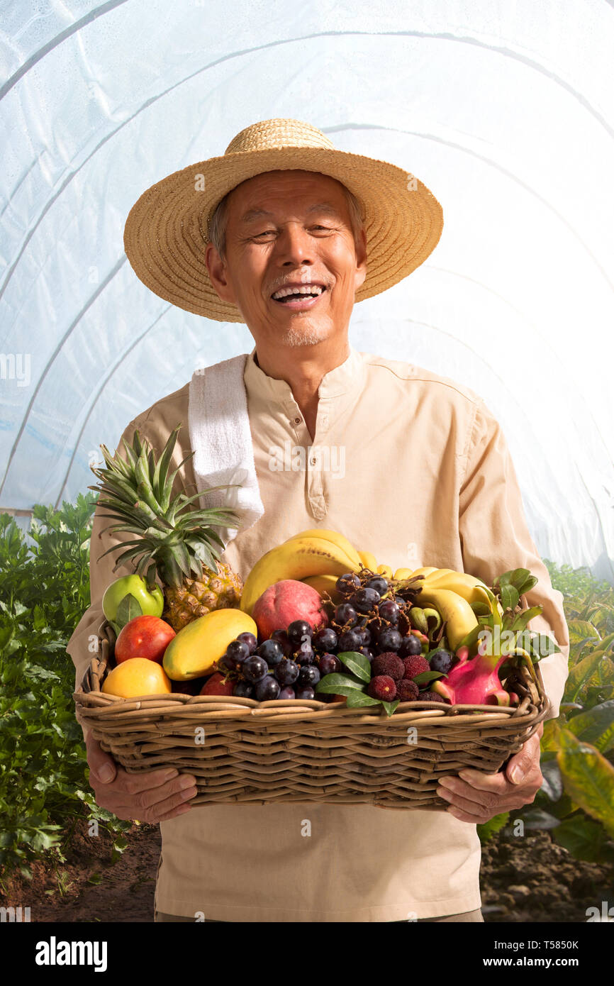The old farmer to produce their own fruit Stock Photo - Alamy