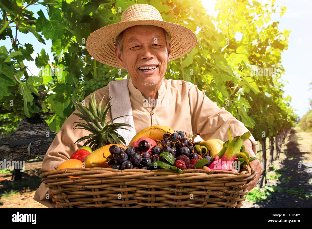 The old farmer to produce their own fruit Stock Photo - Alamy