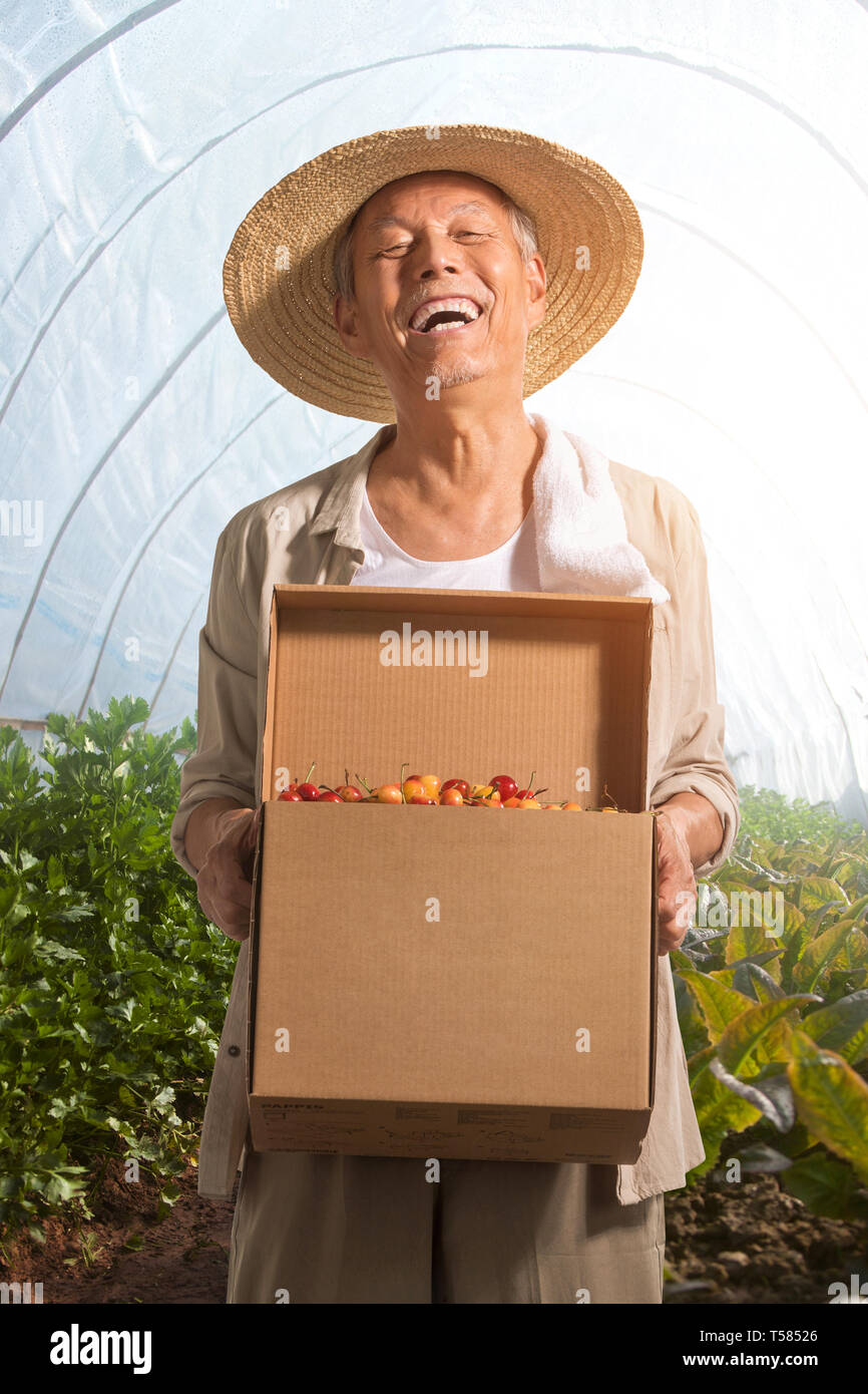 The old farmer to produce their own fruit Stock Photo - Alamy