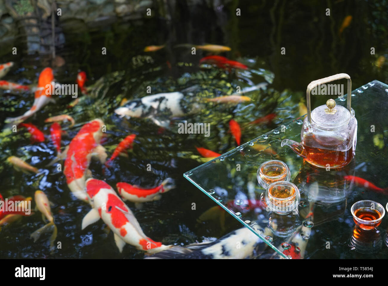 The tea service of the pond Stock Photo - Alamy