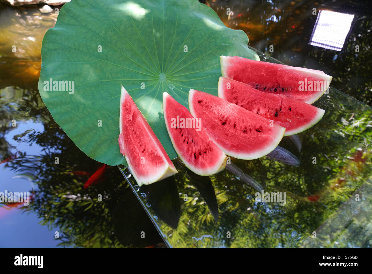 Watermelon, green river hi-res stock photography and images - Alamy