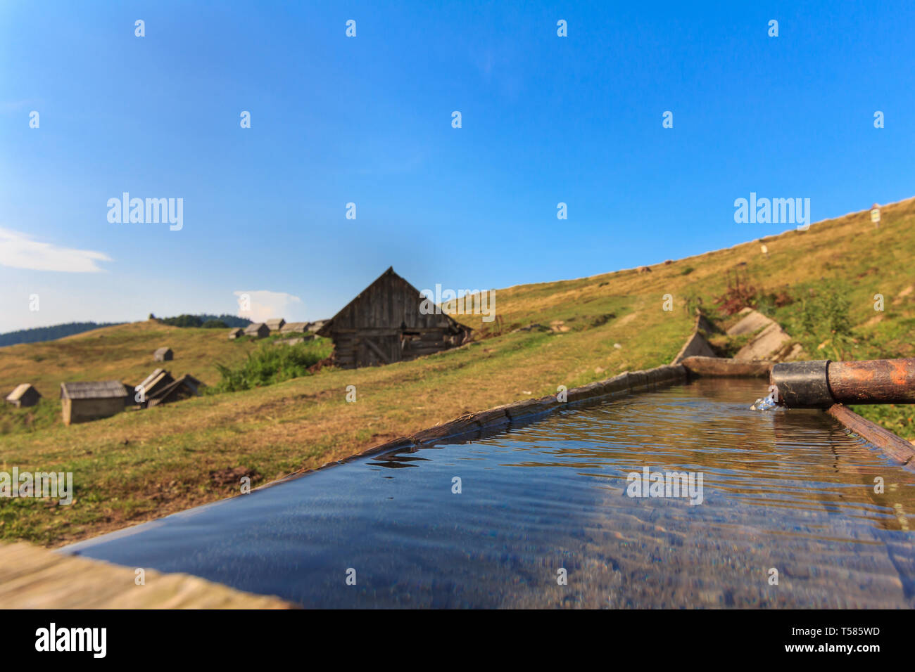 Watering hole for cattle hi-res stock photography and images - Alamy