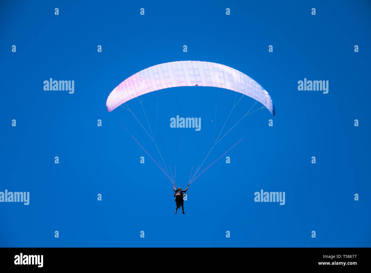 Tandem paraglider free gliding hi-res stock photography and images - Alamy
