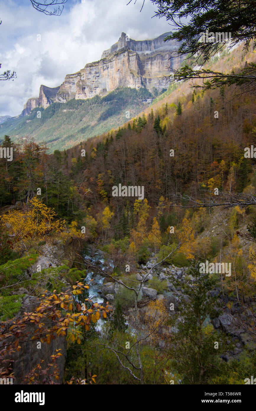 Auttum beautiful forest landscape at ainsa, huesca, spain Stock Photo ...