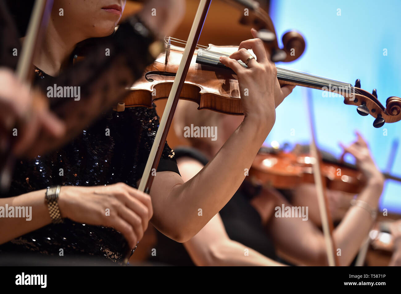 Violin players hand detail during philharmonic orchestra performance ...