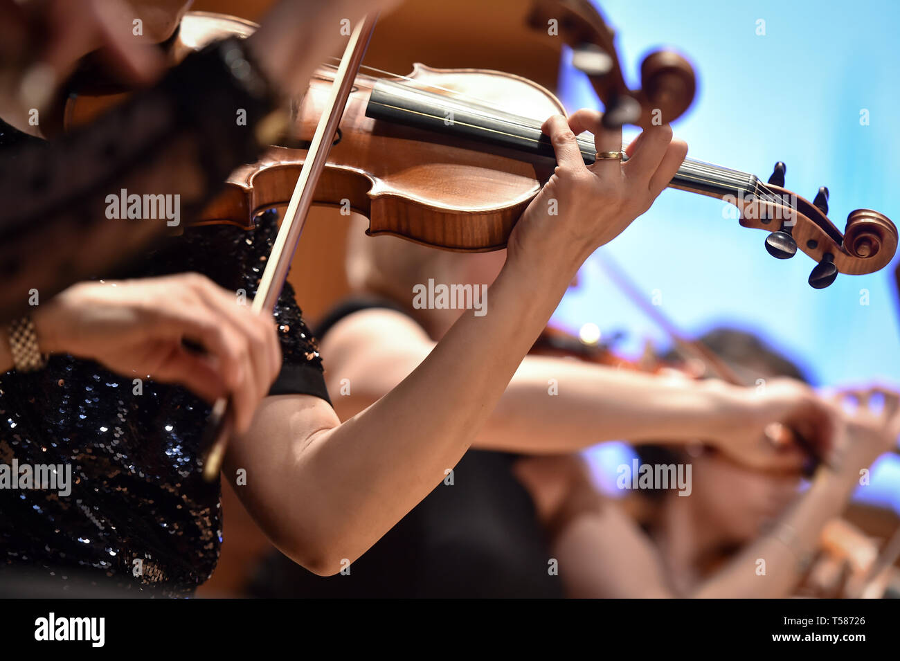 Violin players hand detail during philharmonic orchestra performance ...