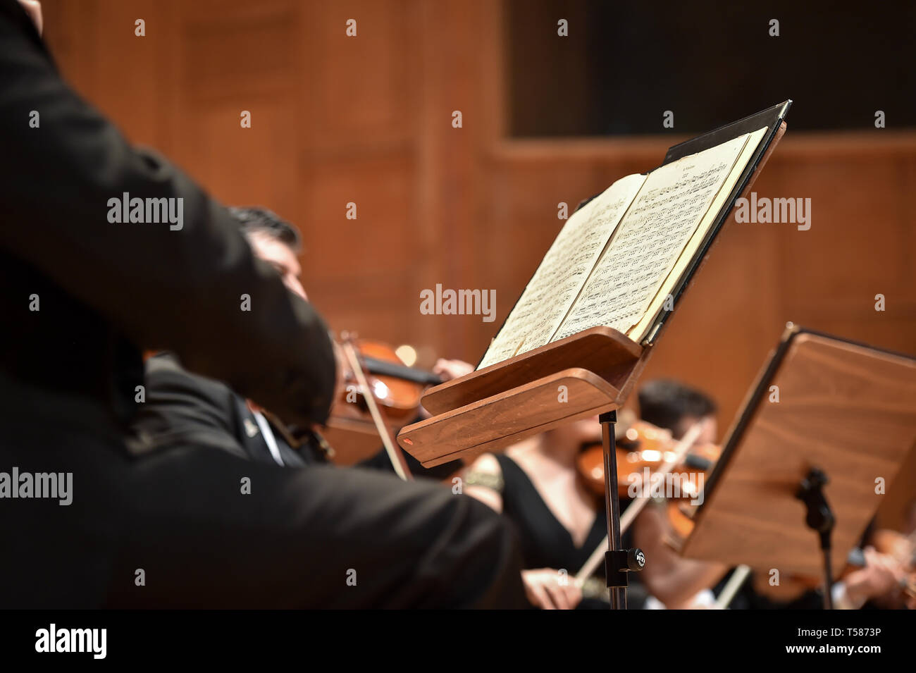 Violin players hand detail during philharmonic orchestra performance ...