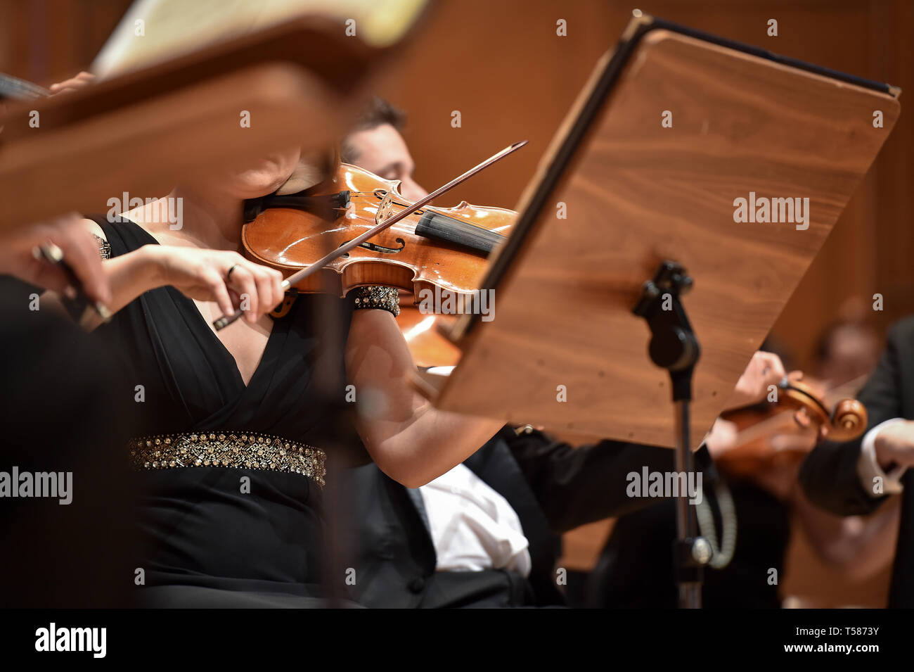Violin players hand detail during philharmonic orchestra performance ...