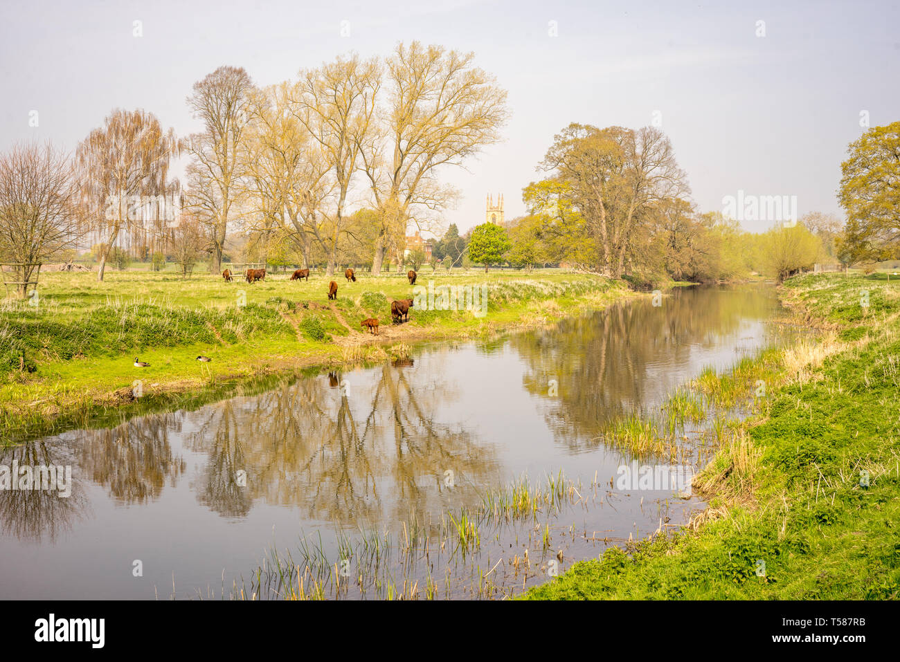 View looking down at river at english countryside Stock Photo - Alamy