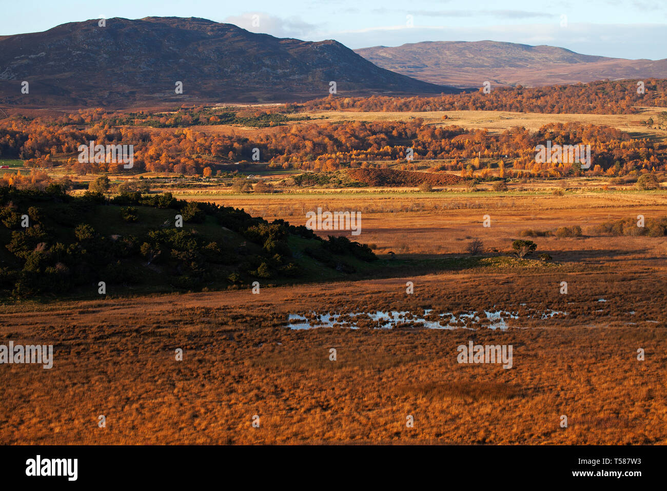 Insh Marshes National Nature Reserve High Resolution Stock Photography ...