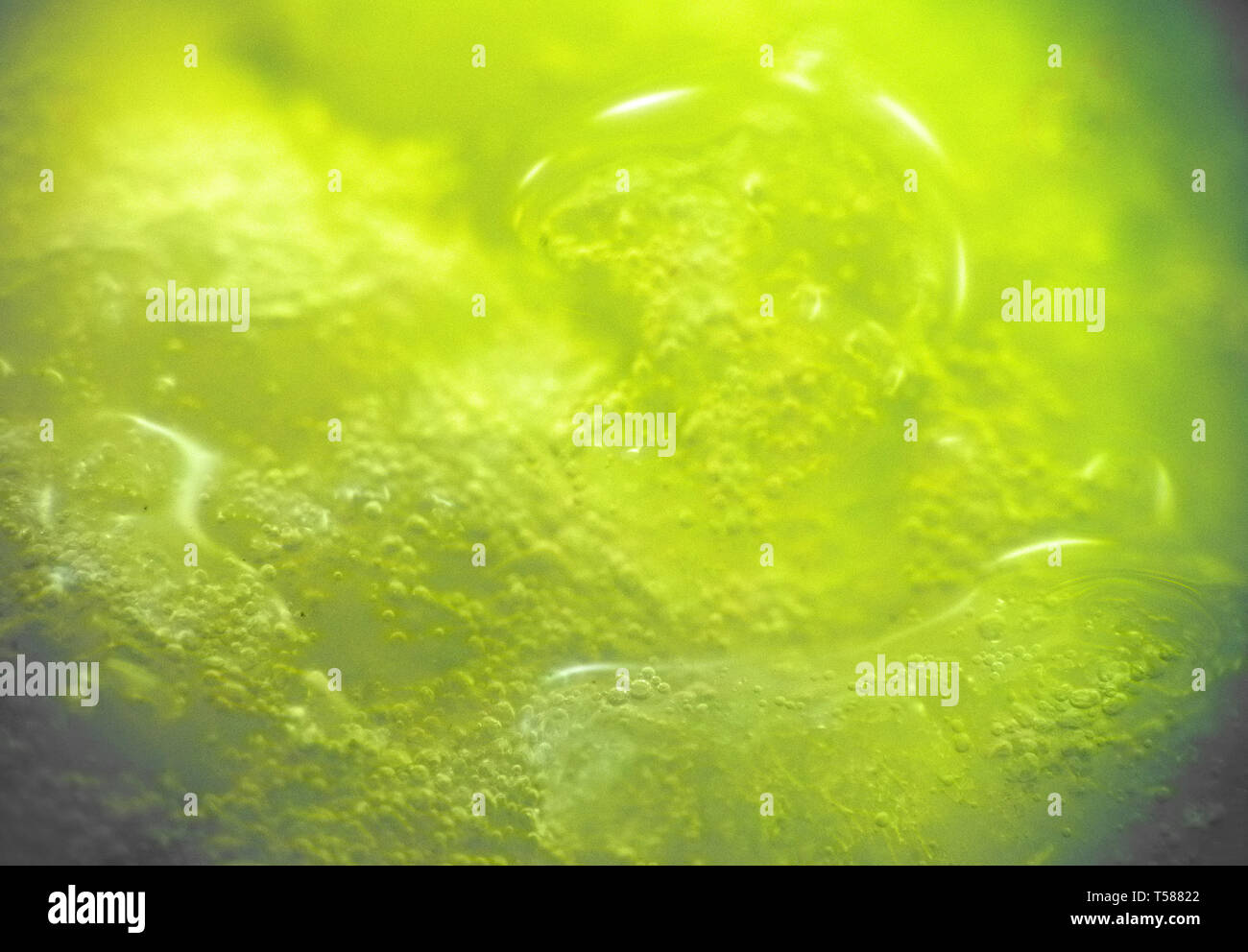 Bio ultra macro background. Look at organic objects under magnifier ...
