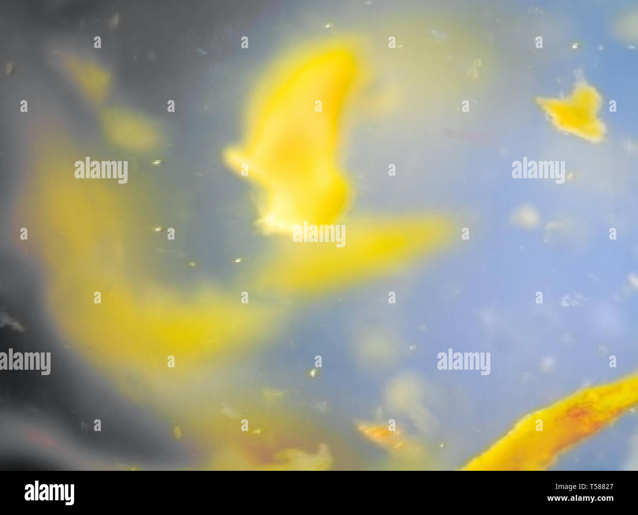 Bio ultra macro background. Look at organic objects under magnifier ...