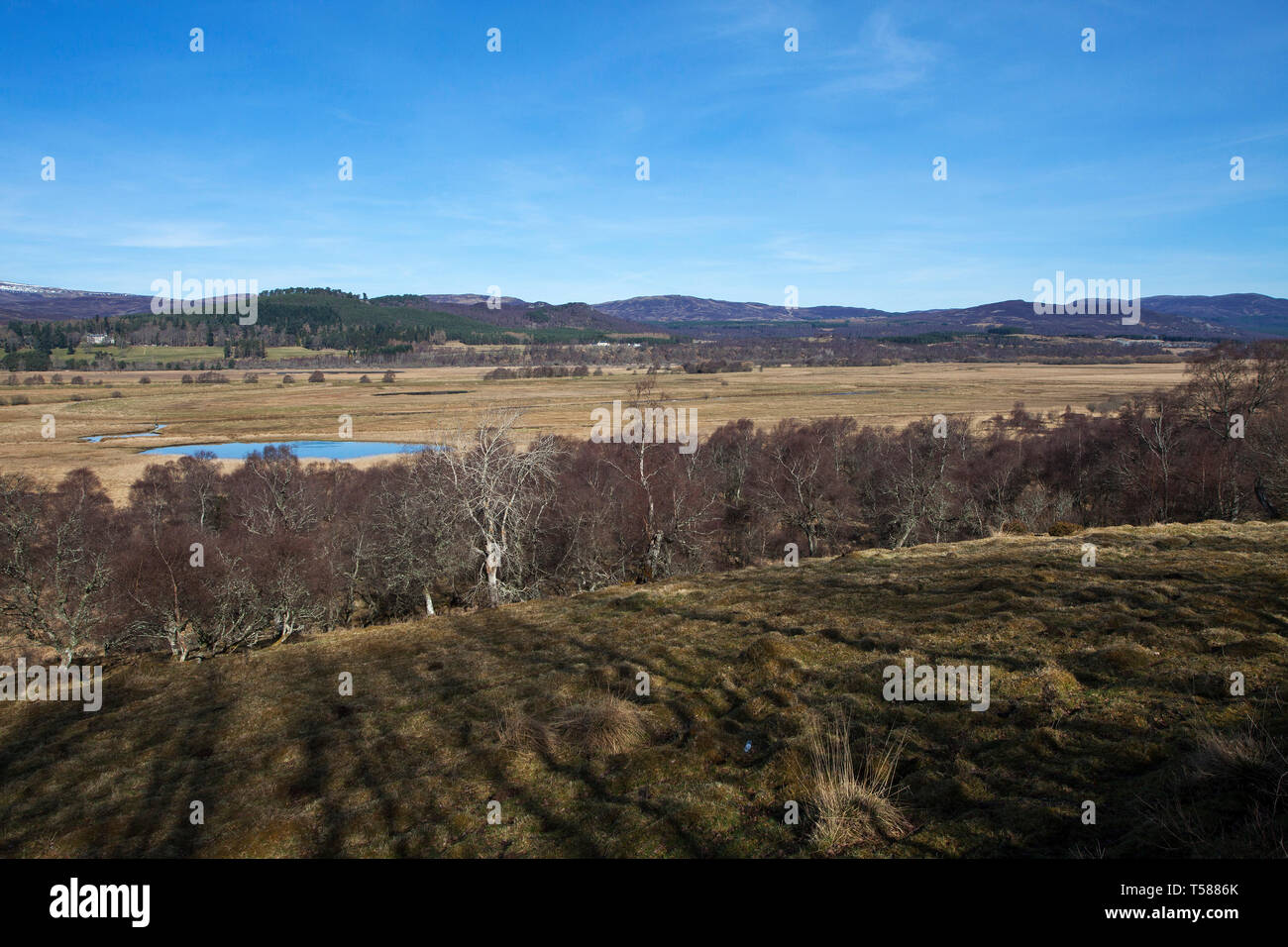 Insh Marshes National Nature Reserve High Resolution Stock Photography ...