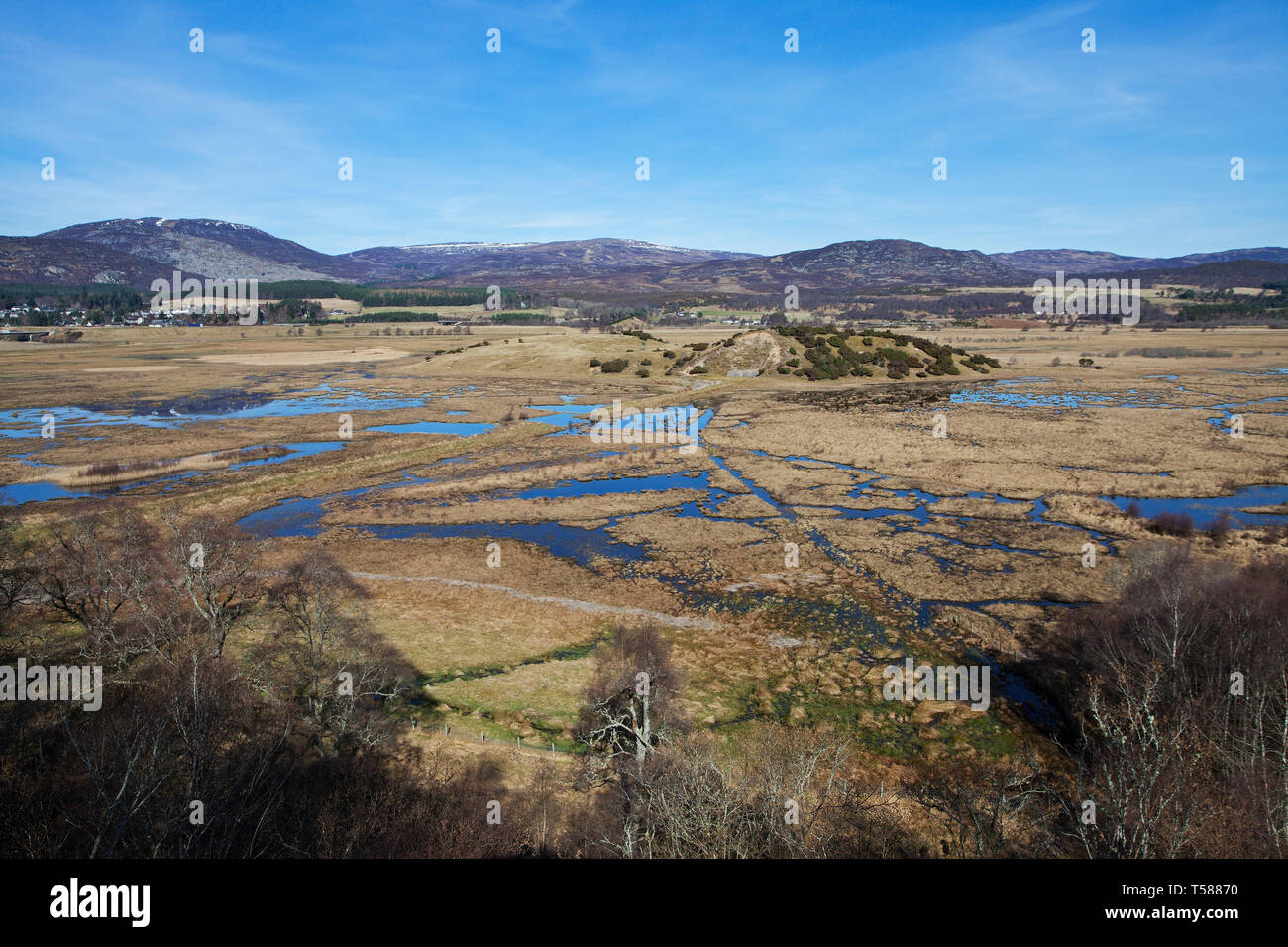Insh marshes national nature reserve hi-res stock photography and ...