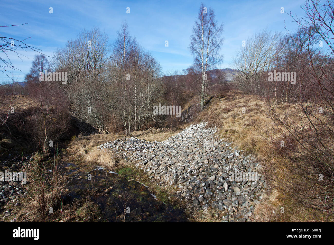 Rspb insh marshes reserve hi-res stock photography and images - Alamy