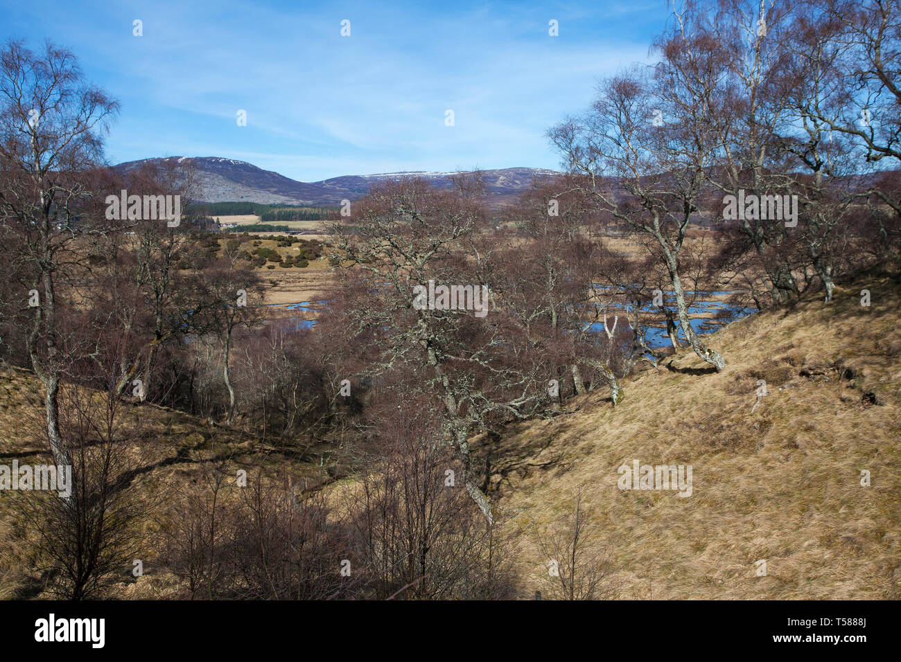 Insh marshes national nature reserve hi-res stock photography and ...