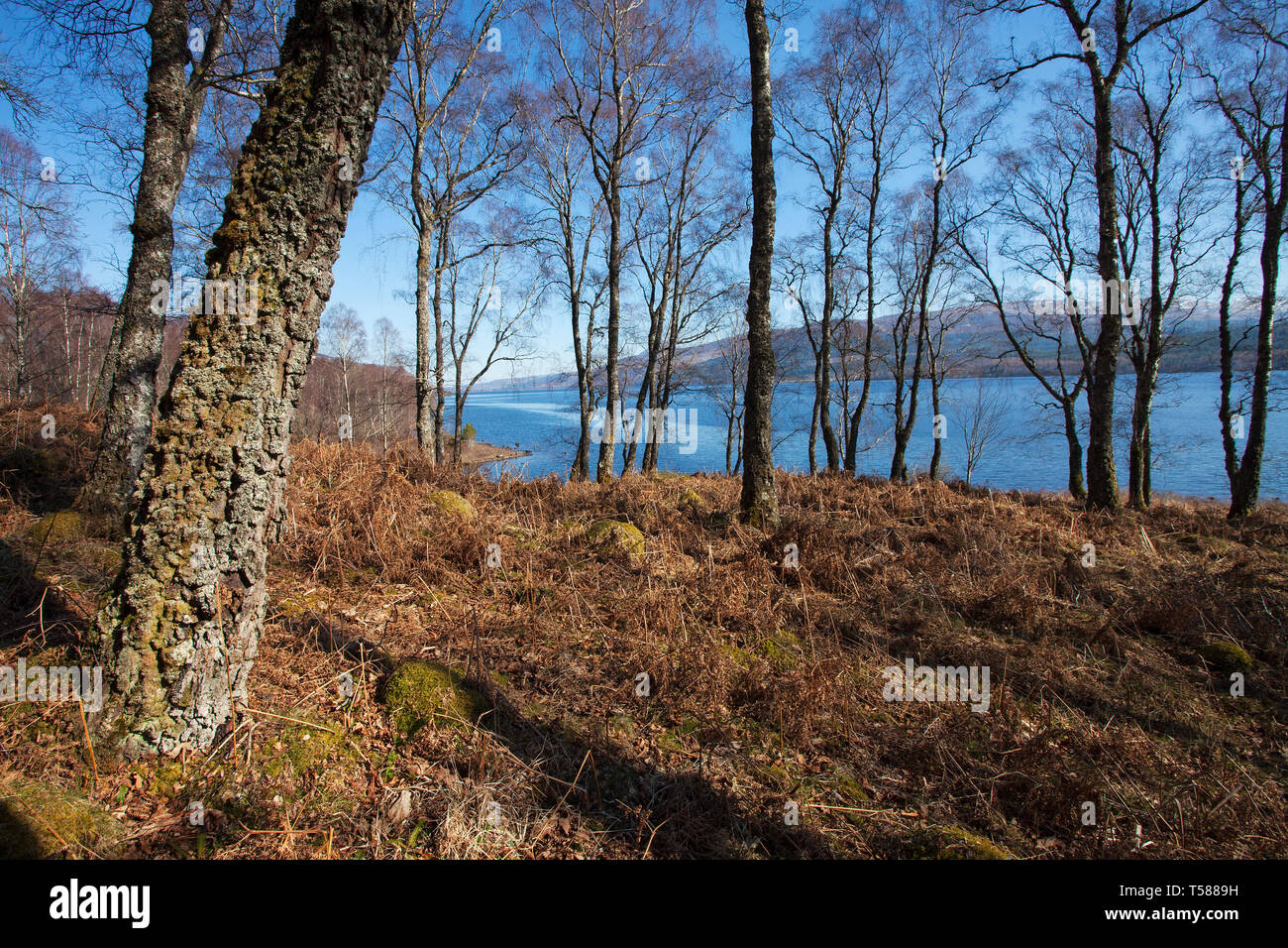 Kinross scotland march hi-res stock photography and images - Alamy