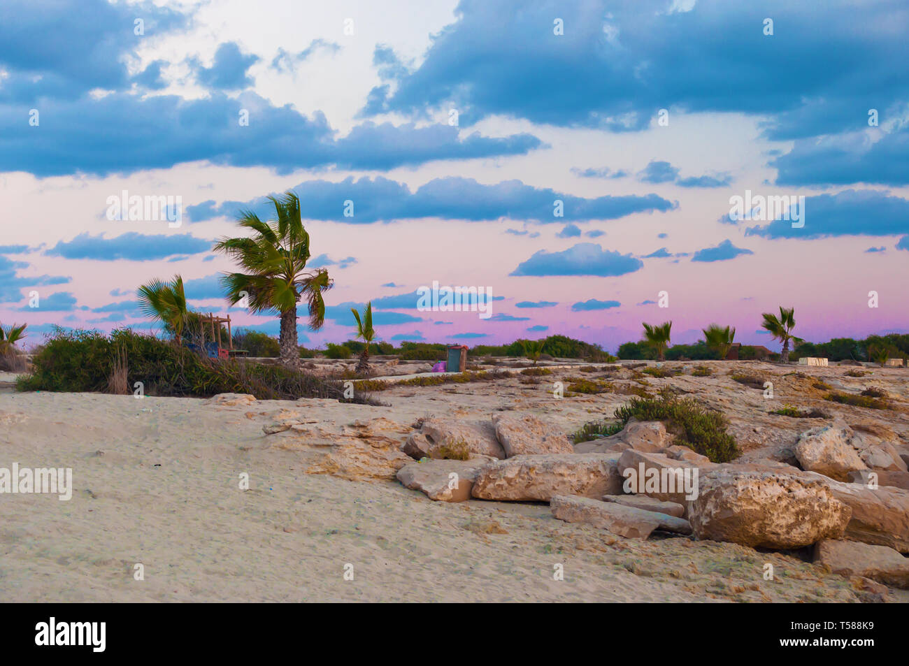 Golden beach cyprus hi-res stock photography and images - Alamy