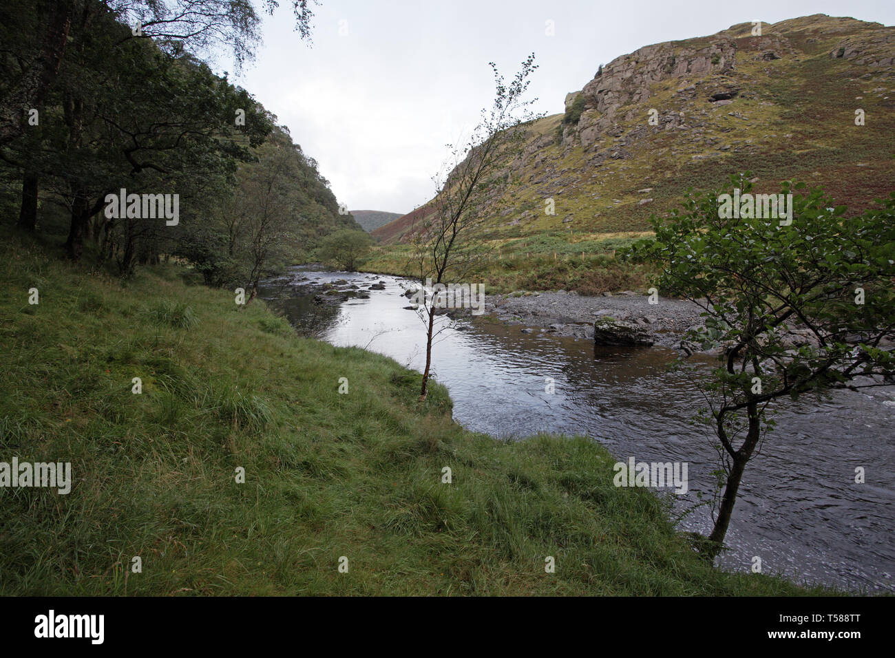 River Tywi Dinas RSPB Reserve Carmarthenshire Wales UK September 2012 ...