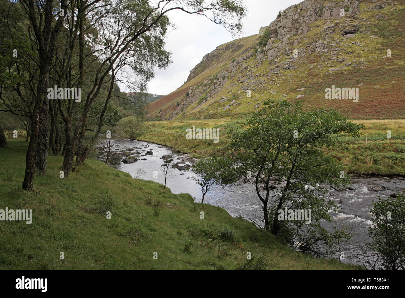 River Tywi Dinas RSPB Reserve Carmarthenshire Wales UK September 2012 ...